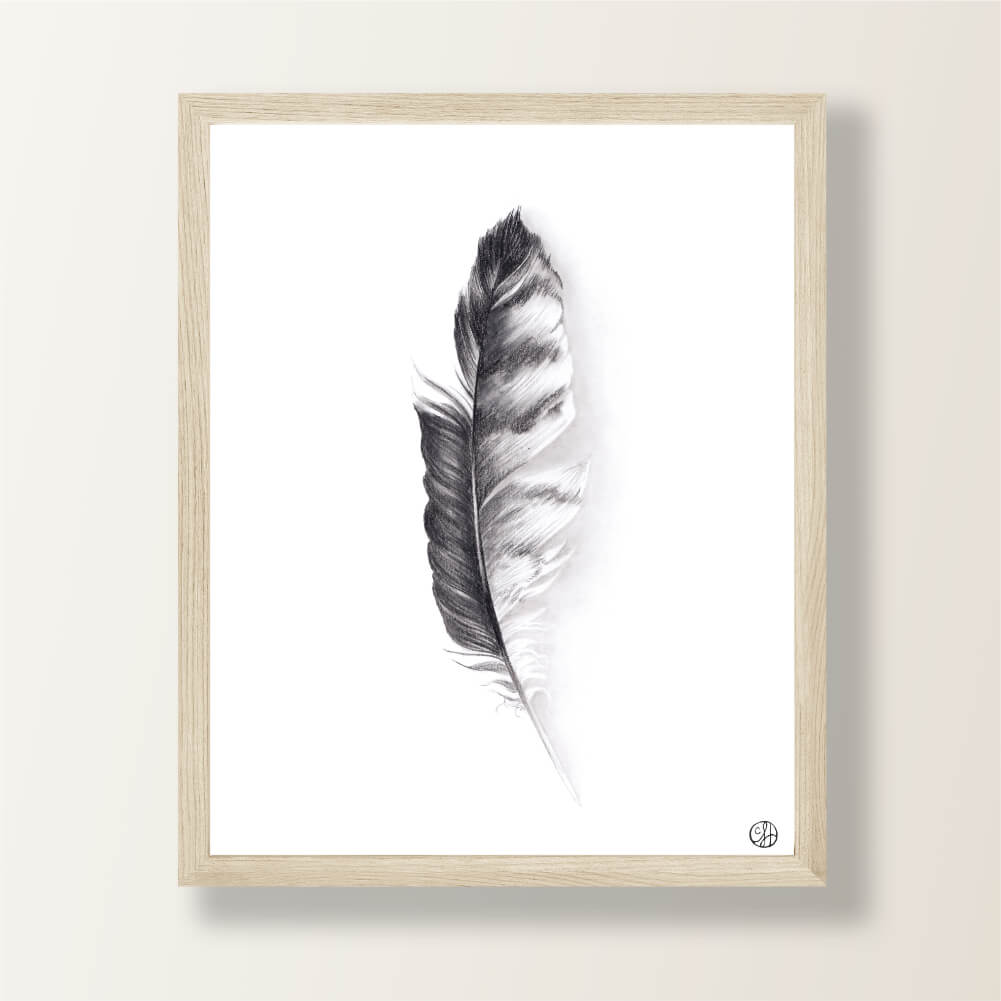 Feather 1 Graphite Drawing | Art Print – Tiny Pine Art