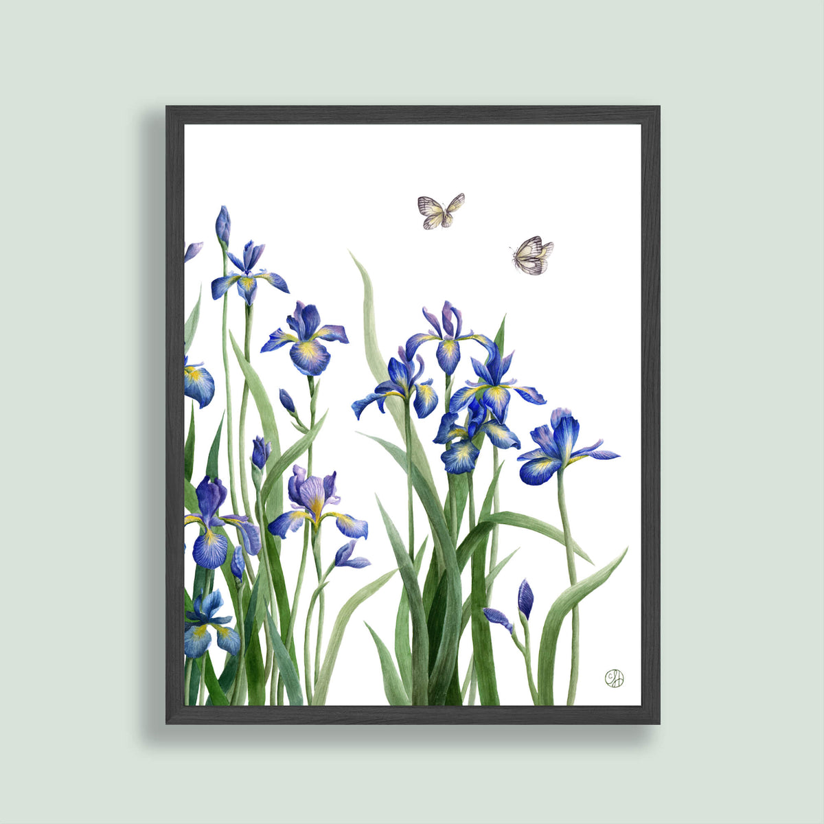 Large Iris & Butterfly Print - Vertical – Tiny Pine Art