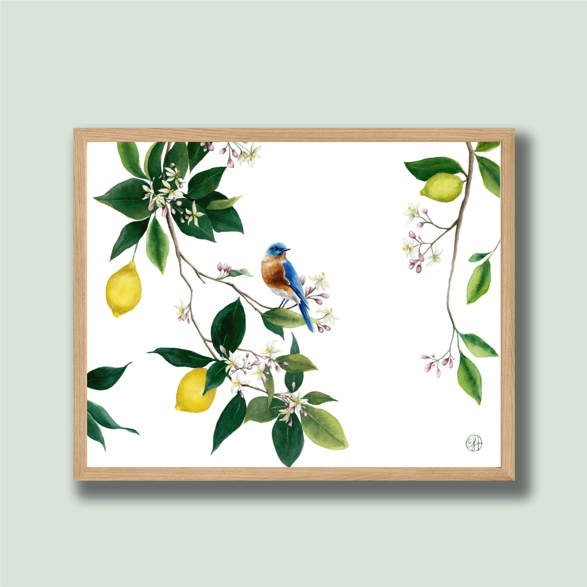 Extra Large Lemon Tree & Bluebird Print – Tiny Pine Art