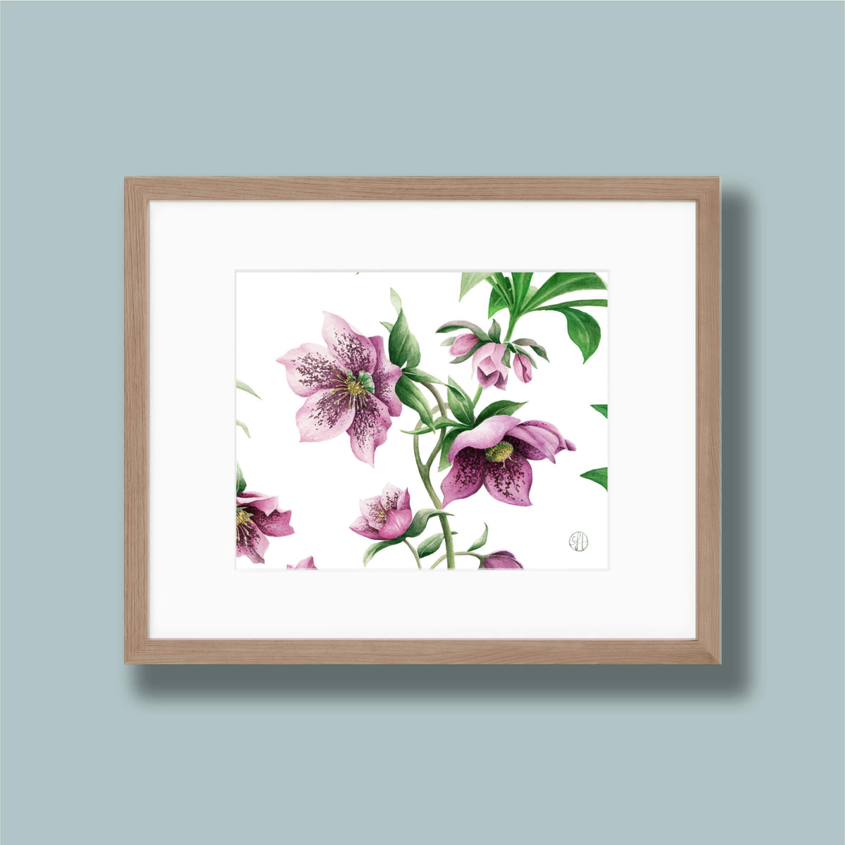 Medium Lenten Roses Print - Horizontal – Tiny Pine Art