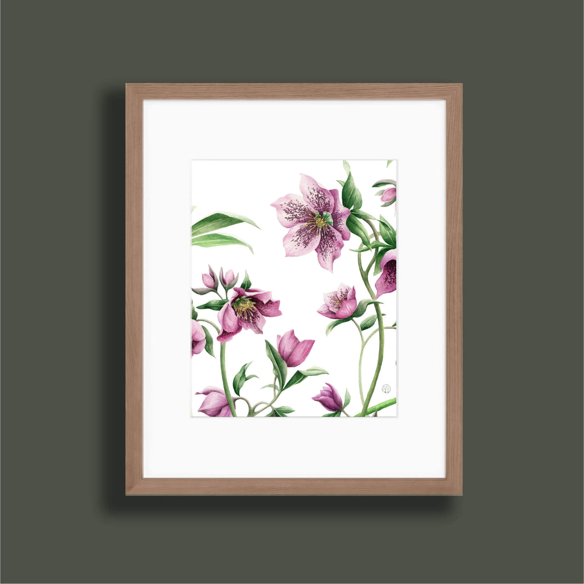Medium Lenten Roses Print - Vertical – Tiny Pine Art