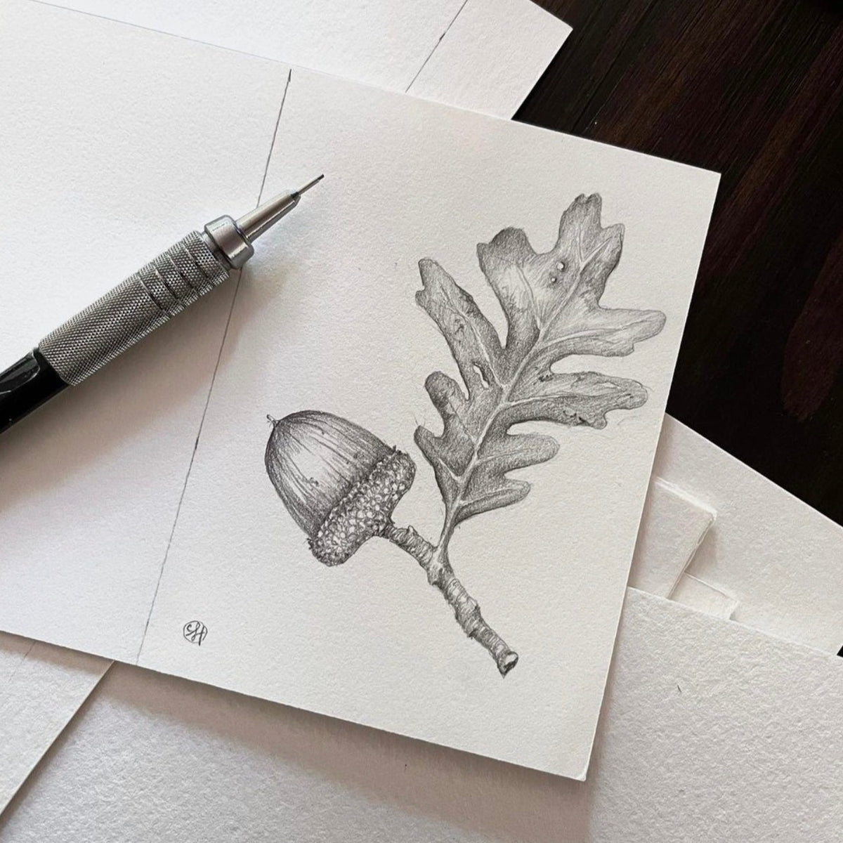 Oak Leaf & Acorn - Original Drawing – Tiny Pine Art
