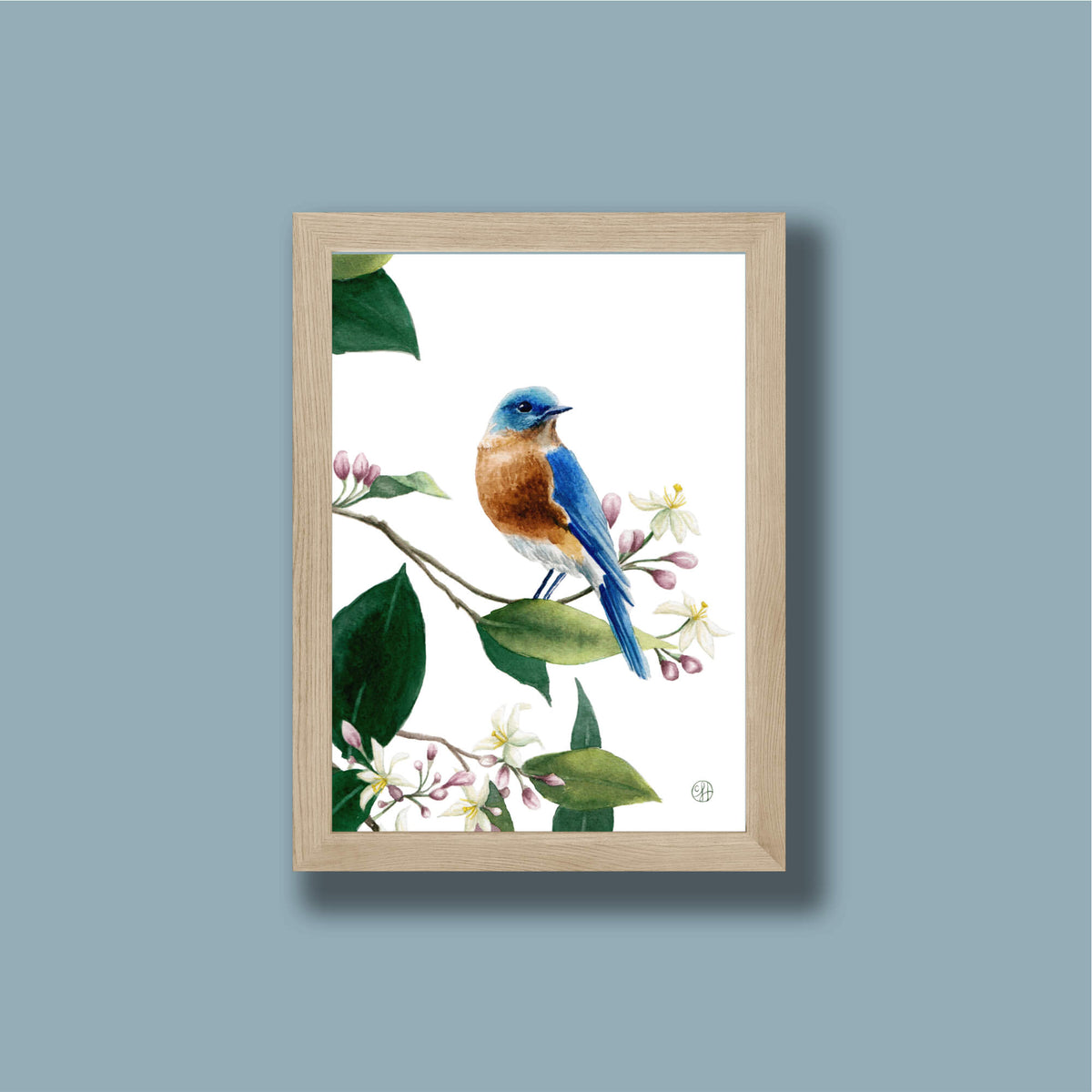Small Bluebird Print – Tiny Pine Art