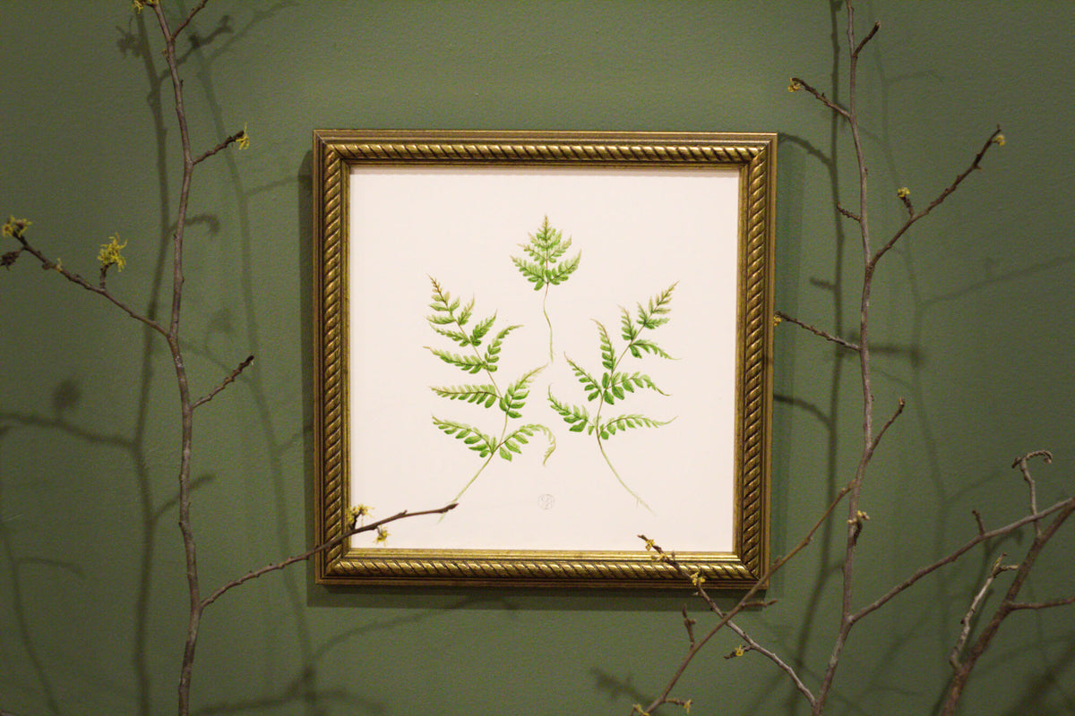 Unfurling Ferns 3 | Original Painting – Tiny Pine Art