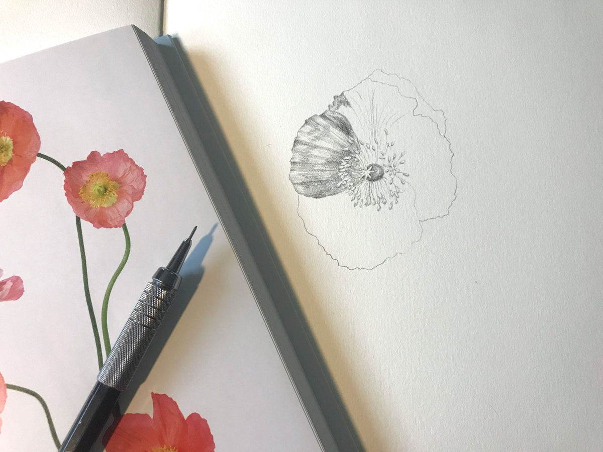 Planning My Garden For a Summer Full of Inspiration – Tiny Pine Art